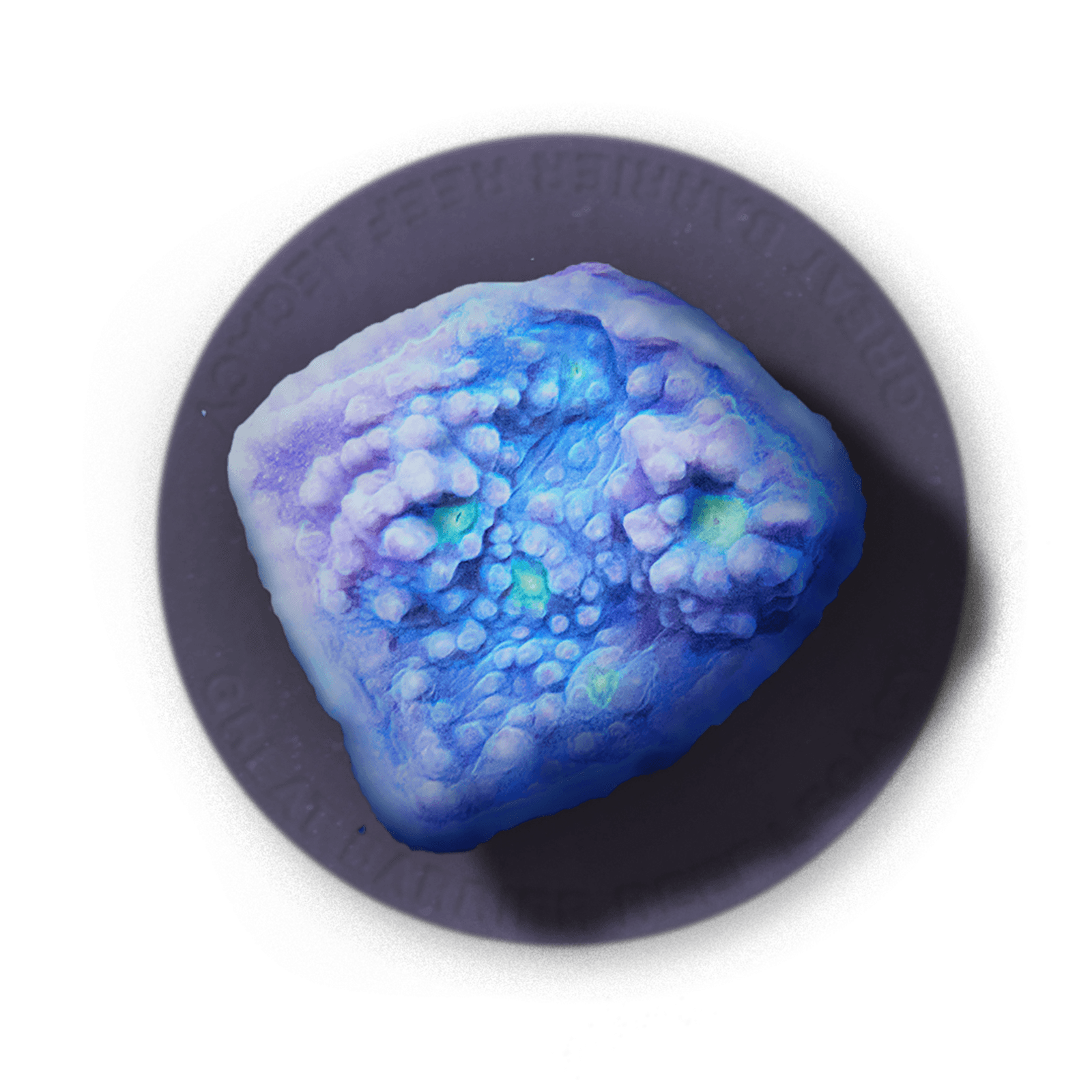 The Forever Reef Project