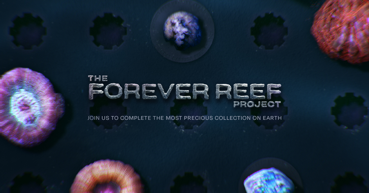 The Forever Reef Project